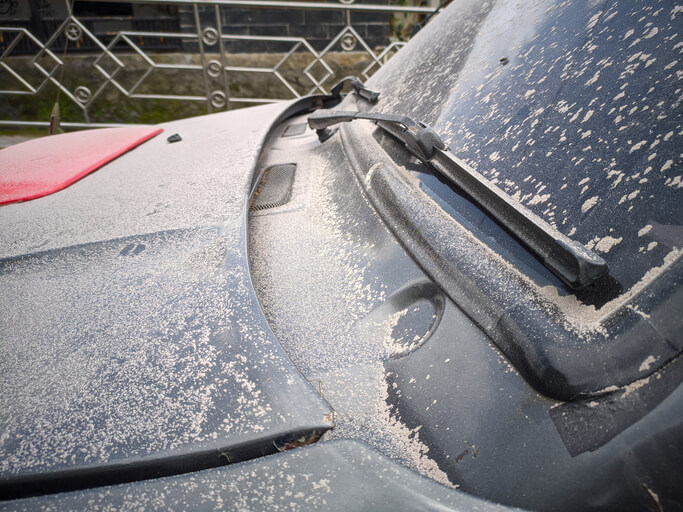 Driving Through Wildfires - What You Need to Know - DriverZ