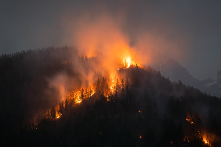 Driving Through Wildfires - What You Need to Know - DriverZ